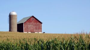 Give Your Farm a Good and Catchy Name! | Best Farm Names - Farm and Chill