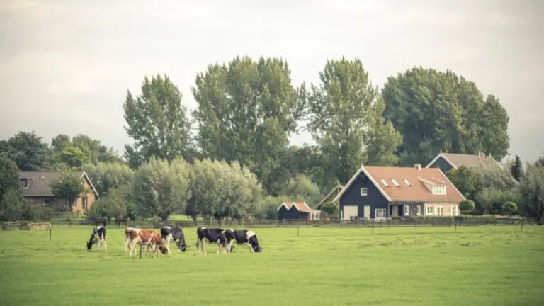 Give Your Farm a Good and Catchy Name! | Best Farm Names - Farm and Chill