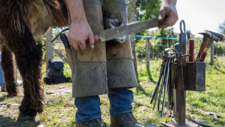 How to Trim Goat Hooves | Easy-to-Follow Steps! - Farm and Chill