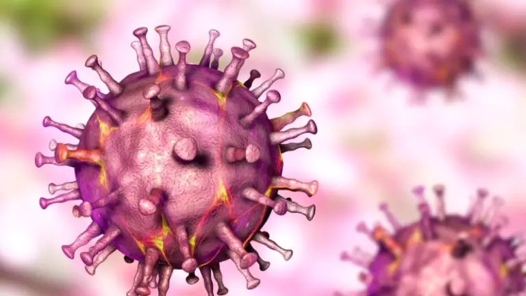 African Swine Fever (ASF) | Highly Contagious and Deadly Disease ...